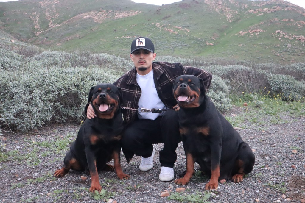 Von Ed Hause Rottweiler